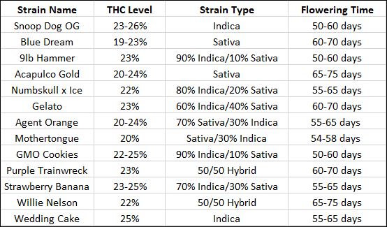 Cannabis Strain Information… | Maine Seedlings & Clones