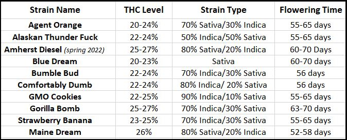 Maine Seedlings & Clones